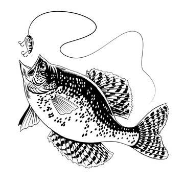 Jumping Fish Drawing Images – Browse 40,809 Stock Photos, Vectors, and ...
