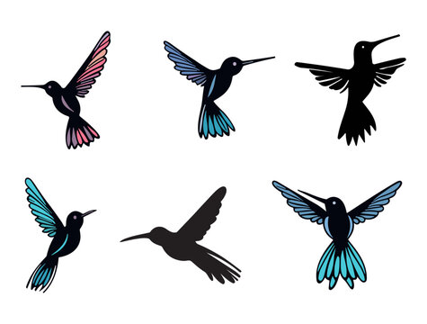 "Hummingbird Vector" Images – Parcourir 346 le catalogue de photos, vecteurs et vidéos | Adobe Stock