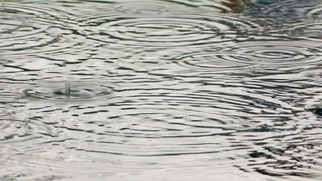 "Puddle Of Water" Images – Browse 2,082 Stock Photos, Vectors, and ...