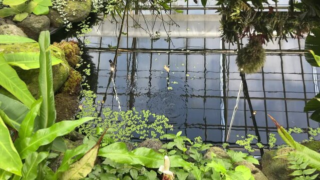 Mullioned Windows Images – Browse 9,985 Stock Photos, Vectors, and ...