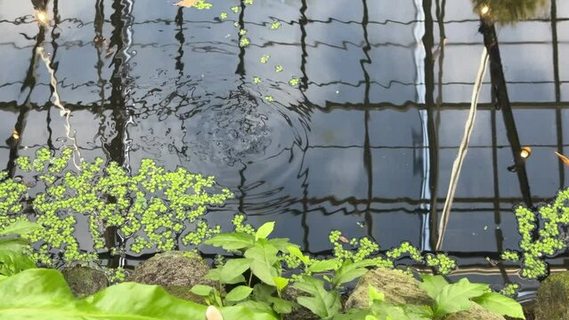 Mullioned Windows Images – Browse 9,985 Stock Photos, Vectors, and ...