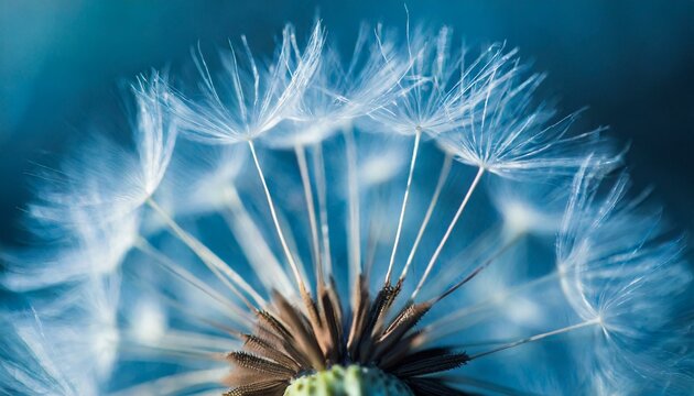 "Gro-Bilder: Stock-Fotos & -Videos. | Adobe Stock