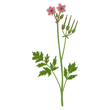 รูปภาพPinwing – เลือกดูภาพถ่ายสต็อก เวกเตอร์ และวิดีโอ309 | Adobe Stock