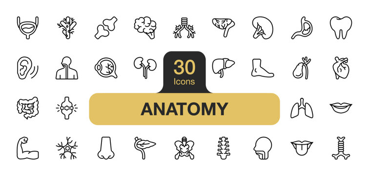 Joint Icons Images – Browse 96,455 Stock Photos, Vectors, and Video ...