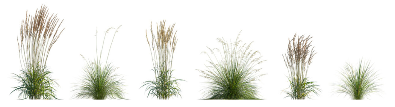 Foerster Images – Browse 235 Stock Photos, Vectors, and Video | Adobe Stock