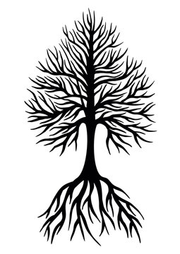 "Tree Crown" Images – Browse 216,343 Stock Photos, Vectors, and Video | Adobe Stock