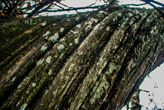 Retorcer Bilder – Durchsuchen 18 Archivfotos, Vektorgrafiken und Videos ...