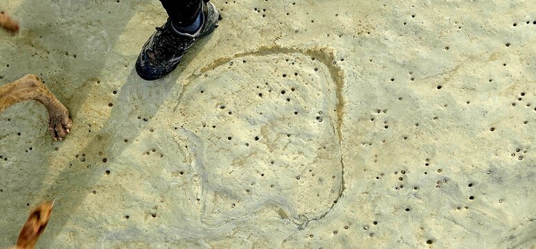 "Dinosaur Footprints" Images – Browse 2,040 Stock Photos, Vectors, and ...