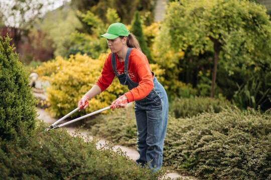 "Spring Work" Bilder – Durchsuchen 1,168 Archivfotos, Vektorgrafiken ...