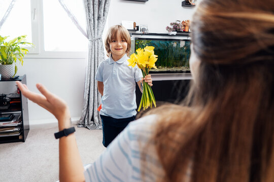 Self Made Images – Browse 98,074 Stock Photos, Vectors, and Video ...