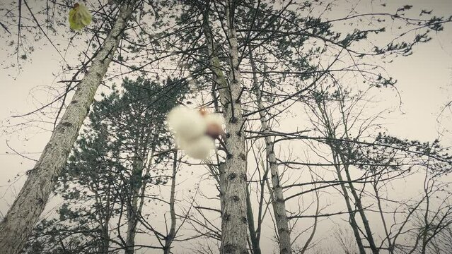 Ghostberry Bilder – Durchsuchen 6,365 Archivfotos, Vektorgrafiken und ...