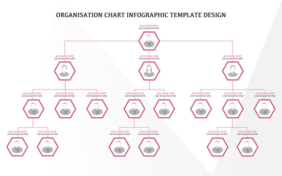 Template Organizational Chart Images – Browse 60,610 Stock Photos ...