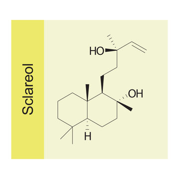 「Vetiverol」の写真素材 | 189件の無料イラスト画像 | Adobe Stock