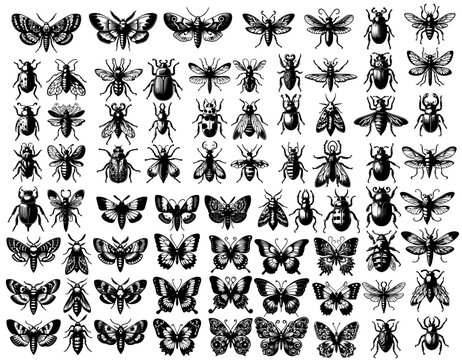 "Victorian Style" Images – Browse 11,779 Stock Photos, Vectors, and ...