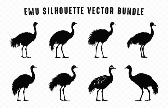 รูปภาพEmus – เลือกดูภาพถ่ายสต็อก เวกเตอร์ และวิดีโอ35,267 | Adobe Stock