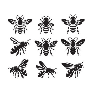 "Native Bee" Images – Browse 742 Stock Photos, Vectors, and Video ...