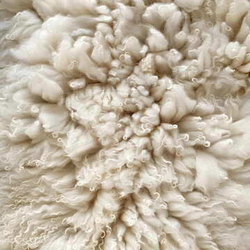 "Wool Background" Images – Browse 602 Stock Photos, Vectors, and Video ...