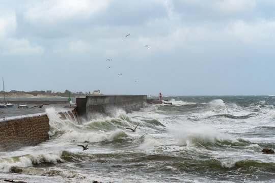 "Skim Through"-Bilder: Stock-Fotos & -Videos. | Adobe Stock