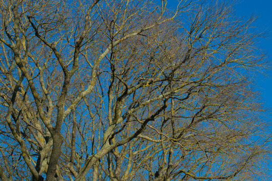 "Para Cima" Images – Browse 498 Stock Photos, Vectors, and Video ...