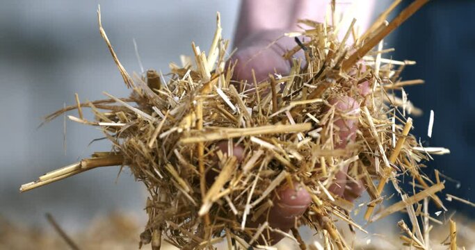 "Hay Making" - Images et vidéos libres de droits | Adobe Stock