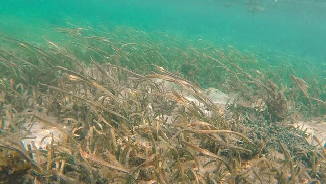 "Tropical Marine Climate" Images – Browse 139 Stock Photos, Vectors ...