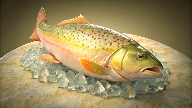 "Fish Products" Images – Browse 3,899 Stock Photos, Vectors, and Video ...
