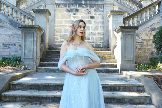 faestock photos, images, assets | Adobe Stock