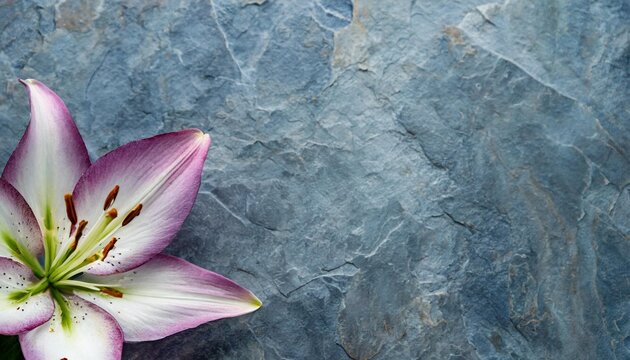 Blue Funeral Background Images – Browse 10,146 Stock Photos, Vectors ...