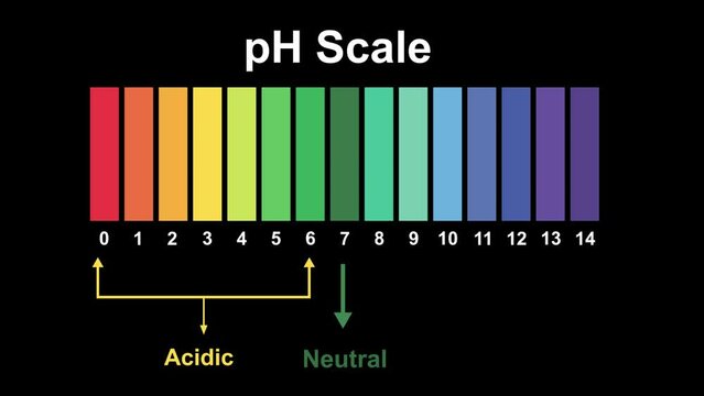 "Ph Scale" Imagens – Procure 31,373 fotos, vetores e vídeos | Adobe Stock