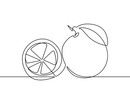 Lemon Line Drawing Images – Browse 52,153 Stock Photos, Vectors, and ...