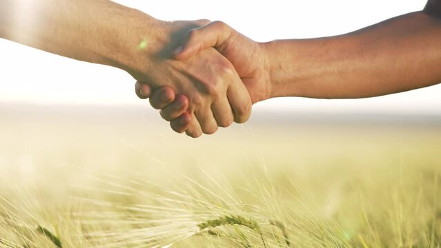 Handshake Farm Images – Browse 7,634 Stock Photos, Vectors, and Video ...