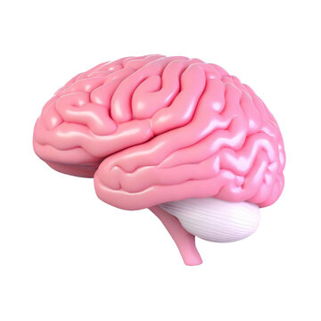 Brain Pink Images – Browse 33,971 Stock Photos, Vectors, and Video ...