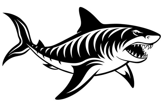 Tiger Shark Cartoon Images – Browse 7,693 Stock Photos, Vectors, and ...