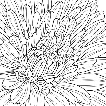 "Adult Coloring Book Pages" Images – Browse 172 Stock Photos, Vectors ...