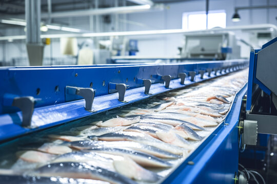"Fish Factory" Imagens – Procure 3,301 fotos, vetores e vídeos | Adobe ...