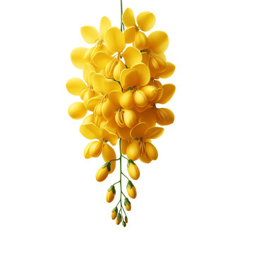 รูปภาพKonnapoo – เลือกดูภาพถ่ายสต็อก เวกเตอร์ และวิดีโอ71 | Adobe Stock