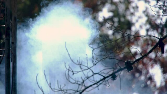 Wafting Images – Browse 10,603 Stock Photos, Vectors, and Video | Adobe ...