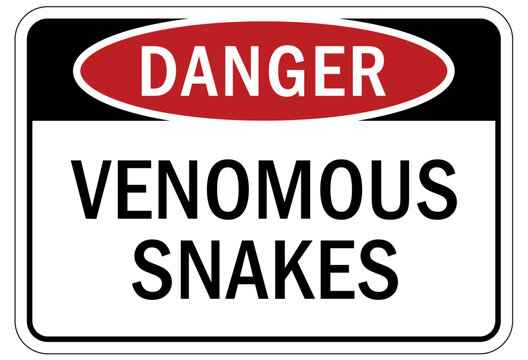 "Venomous Snake" Images – Browse 13,452 Stock Photos, Vectors, and ...