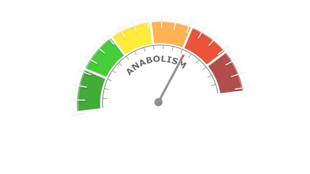 Anabolism Images – Browse 21,596 Stock Photos, Vectors, and Video ...