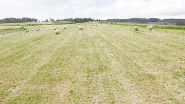 Hay-Bales Images – Browse 87 Stock Photos, Vectors, and Video | Adobe Stock