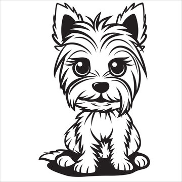 "Australian Silky Terrier" Images – Browse 1,082 Stock Photos, Vectors ...