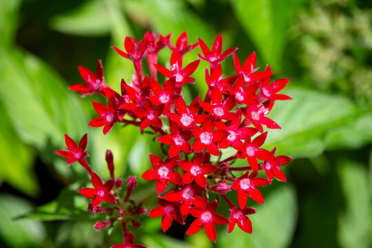 Doreen photos, images, assets | Adobe Stock