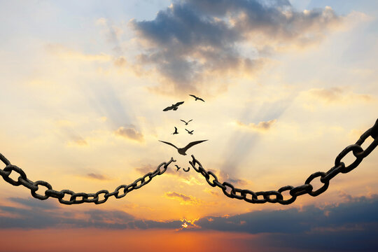 "Freedom Of Choice" Images – Browse 1,421 Stock Photos, Vectors, and ...