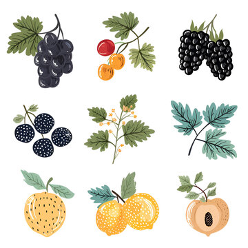 "Stylized Fruit" Images – Browse 124 Stock Photos, Vectors, and Video ...
