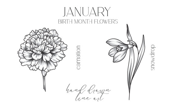 "Outline Flower" Images – Browse 1,990 Stock Photos, Vectors, and Video ...