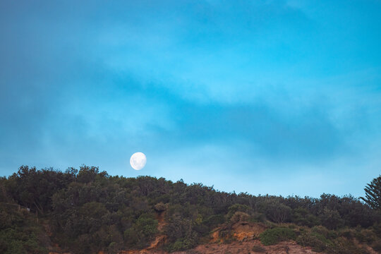 Caseyjadew photos, images, assets | Adobe Stock