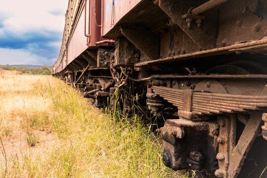 Caseyjadew photos, images, assets | Adobe Stock