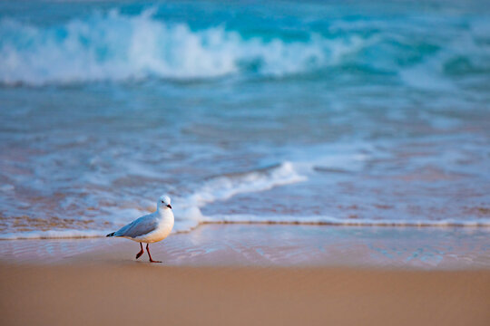 Caseyjadew photos, images, assets | Adobe Stock