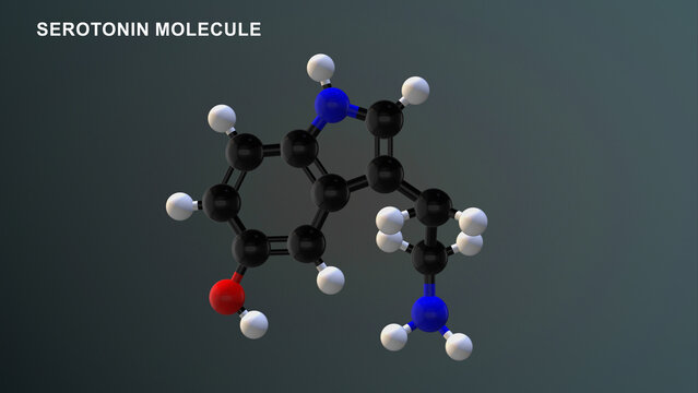 Serotonin Chemical Structure 3d