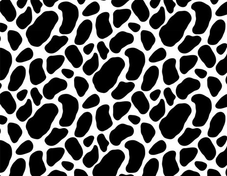 Holstein Pattern Images – Browse 1,272 Stock Photos, Vectors, and Video ...